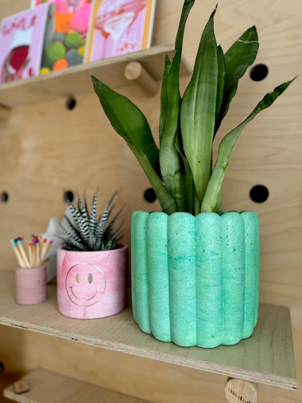 The Ripple Pot – Concrete & Cacti