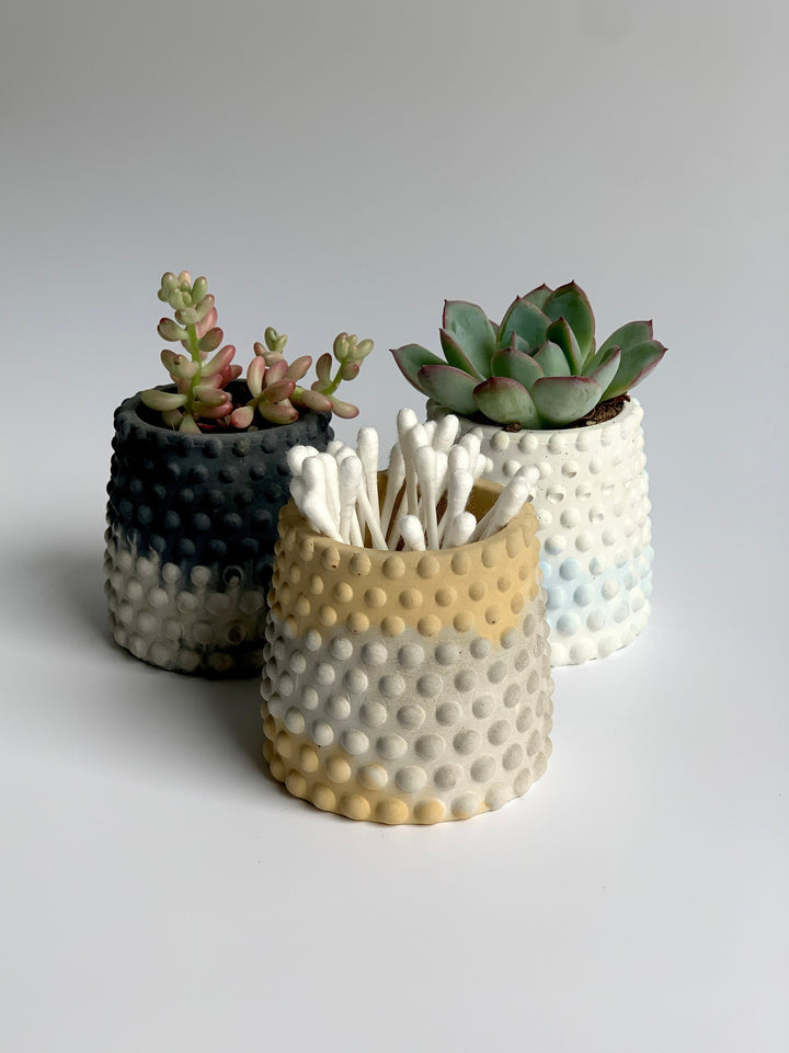 Pots – Concrete & Cacti